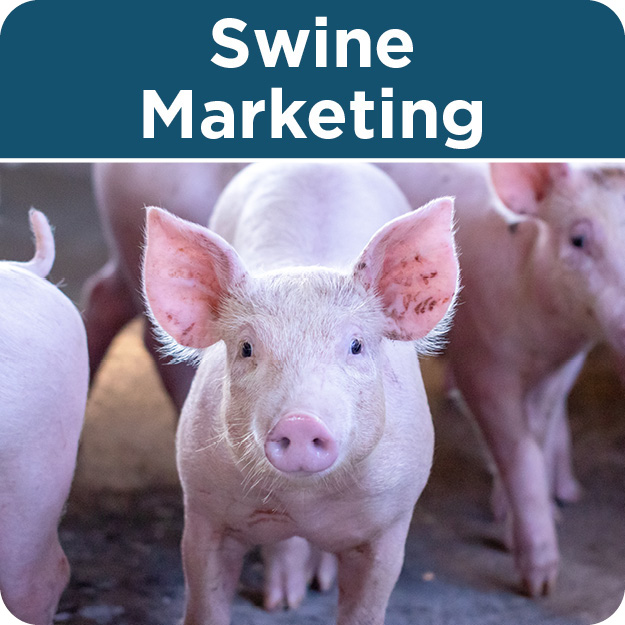 Livestock Marketing - United Producers